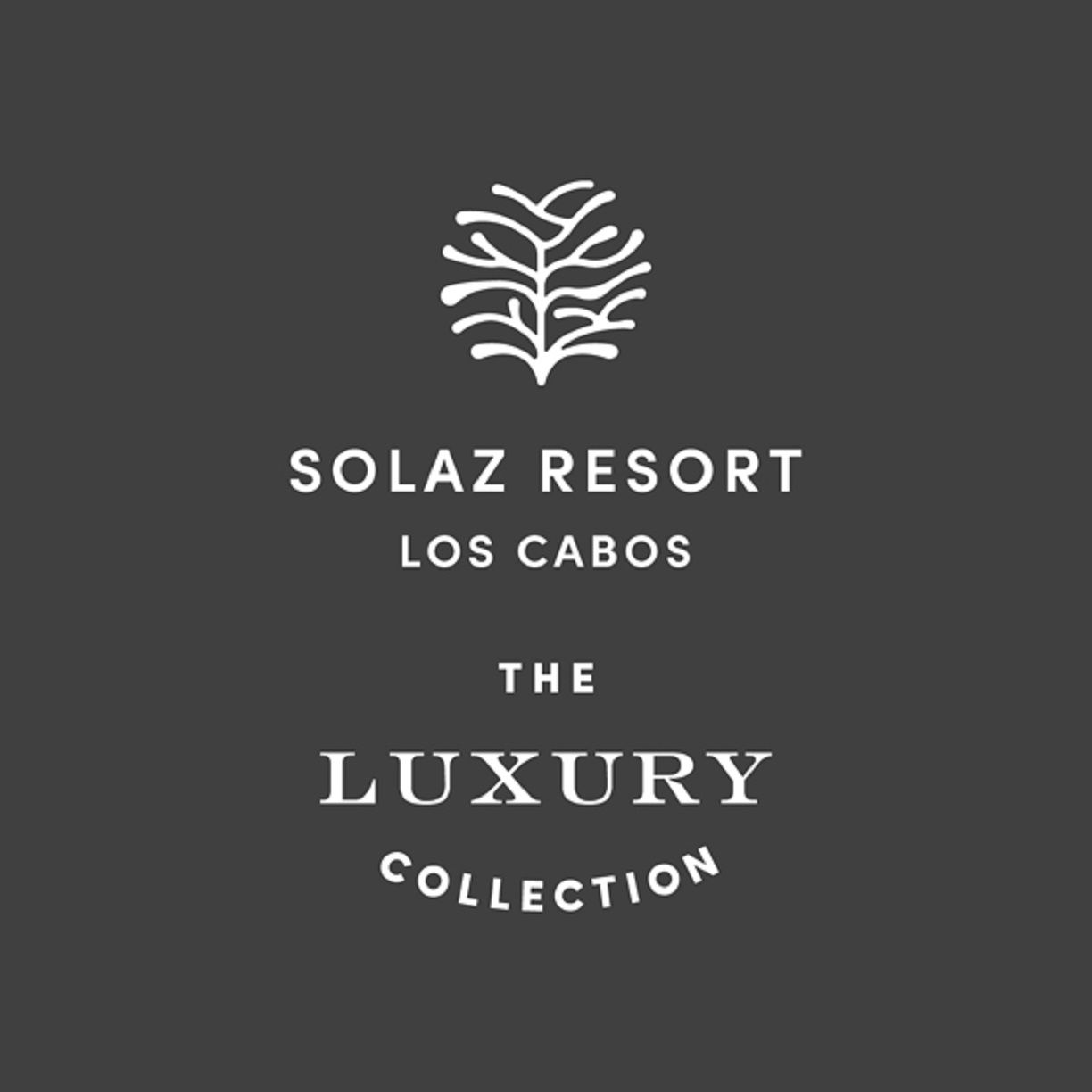 Solaz Presidential Suite | Solaz, a Luxury Collection Resort, Los Cabos